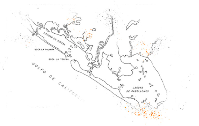 Visite Altata – La plataforma más integrada de Altata, Sinaloa, México.